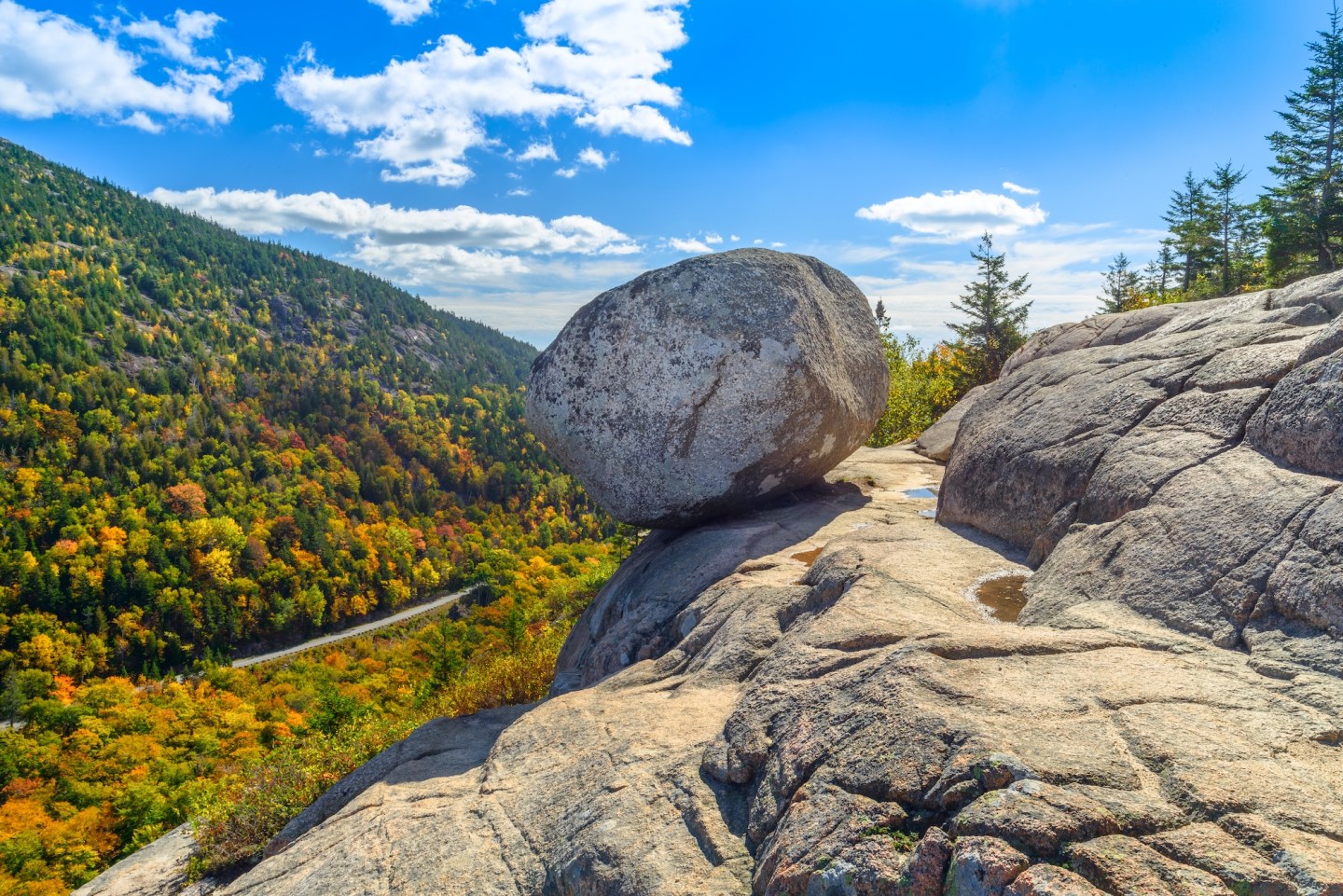 Global Conservation: A Reflection Of America’s Values And A Foundation ...